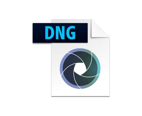 The Adobe DNG Format A Standardized Approach To RAW Files Adam Insights