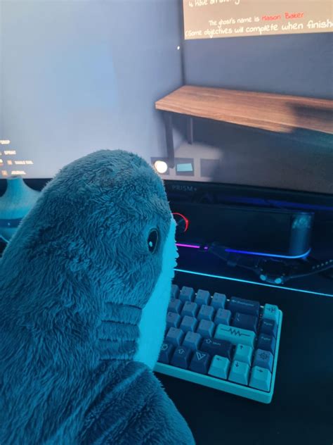 Got My First Mini Blahaj Big One Was Out Of Stock So Im Going Back Next Week To Get Another