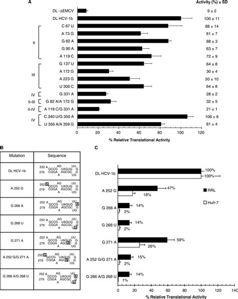 Mutational Analysis Of The Hcv 1b Ires A The Ability Of The
