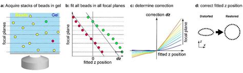 Schematic Of The Approach To Calibrate The Depth Dependent