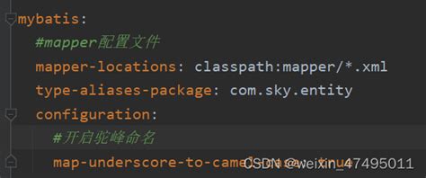 Mybatis查询结果对象值为null的情况mybatis查询结果为null的原因 Csdn博客