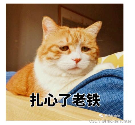 Python空间数据计算：2geopandas的几种安装方式geopandas安装教程 Csdn博客