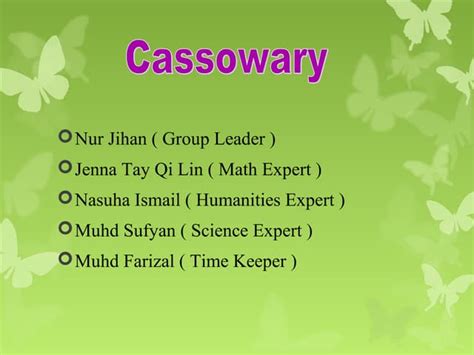 Cassowary Ppt