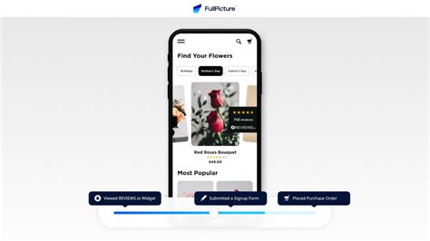 Fullpicture ‑ Session Replays Session Replays Surveys And Tracking