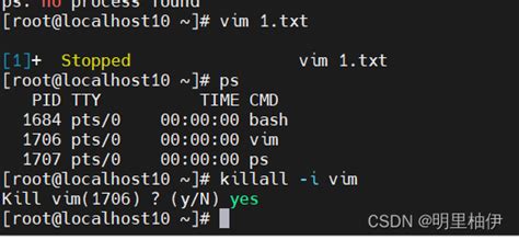 【linux】进程管理命令（ps， lsof ，kill pkill killall，vmstat） linux进程管理命令 csdn博客