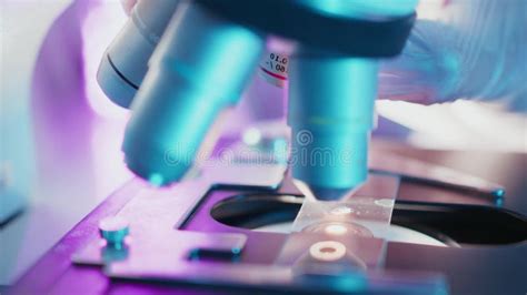 Scientist Adjusting Microscope Slide For Analysis In Laboratory Stock Footage Video Of