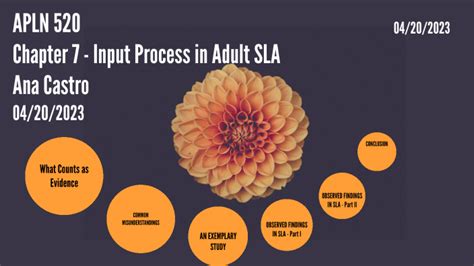 Theories In Sla Chapter 7 Input Processing In Adult Sla By Ana