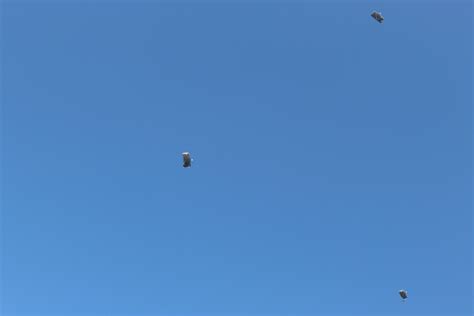 Напредна обука падобранаца за скокове на слободно дејство Министарство одбране Републике Србије