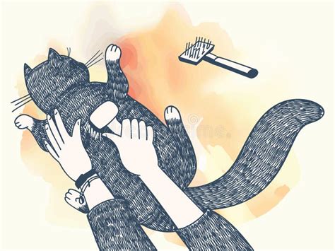 A Woman Combs Her Cat Ink Drawing Stock Vector Illustration Of Vector Fluffy