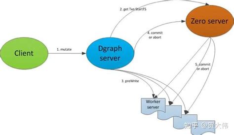 Dgraph事务详解 知乎