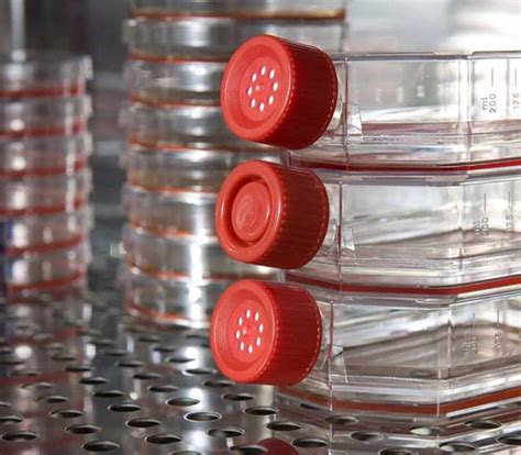 What Are The Different Methods Of Determining Protein Aggregation Enzo