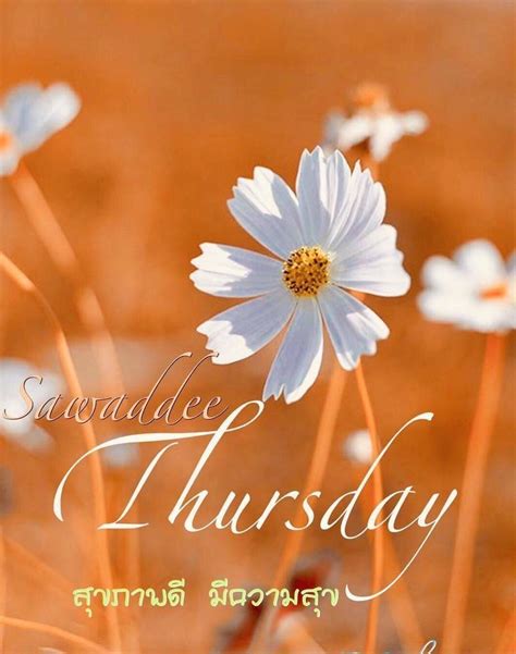 Saturday Quotes สวัสดีตอนเช้า ฝันดีราตรีสวัสดิ์ อรุณสวัสดิ์