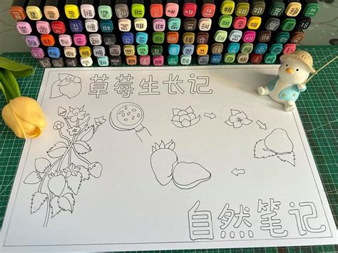 草莓生长过程简笔画怎么画最好（最新18张） 简笔画图片大全