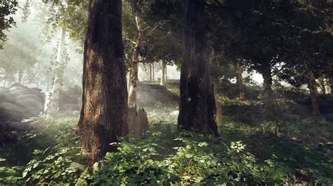 NOLVUS SKYRIM AE Modding Guide