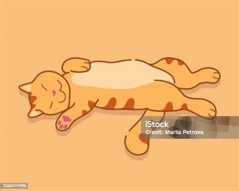 편안한 자세로 잠자는 생강 고양이 귀여운 빨간 얼룩 무늬 고양이는 신뢰를 반영하는 자세로 잔다 벡터 그림 고양이 새끼에 대한 스톡 벡터 아트 및 기타 이미지 Istock