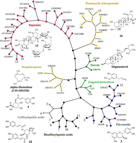 Cytoscape Network For Compounds Found In C Asiatica The Clustering Download Scientific