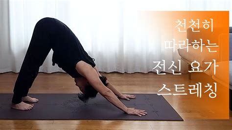 요가전신요가스트레칭시니어요가 Youtube