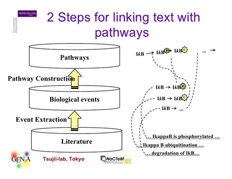 text mining tools for semantically enriching scientific literature