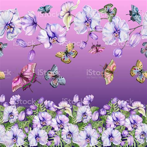 아름다운 이국적인 난초 꽃 몬스타 잎과 배경에 나비를 비행 매끄러운 열대 꽃 무늬 테두리 수채화 그림입니다 손으로 그린 그림입니다 0명에 대한 스톡 벡터 아트 및 기타