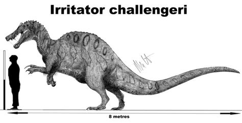 Irritator Challengeri By Teratophoneus Dinosaurios Prehistoria Dino