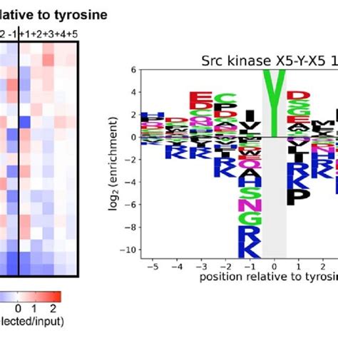 Figure Supplement 3 Heatmap And Logo Depicting The Specificity Of The Download Scientific
