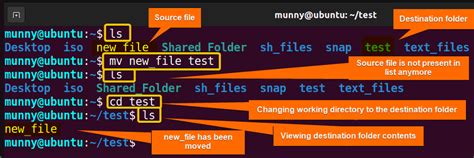 Top 10 Linux Commands For Newbies Free Downloads Linuxsimply