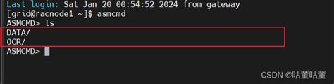 八、oracle11g Rac集群搭建 Dbca创建数据库 Csdn博客