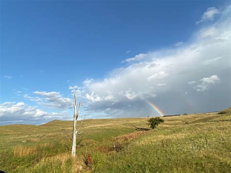 Double Half Rainbows R Iphone11pro