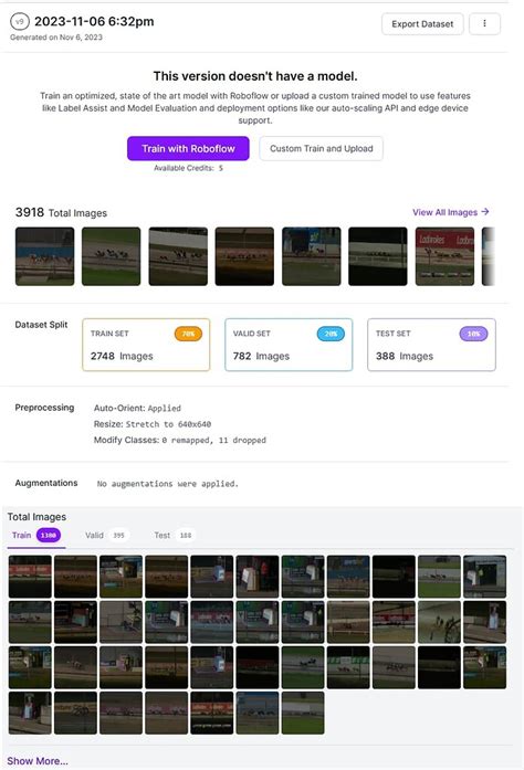 Bug In Dataset Generator 🤝 Community Help Roboflow