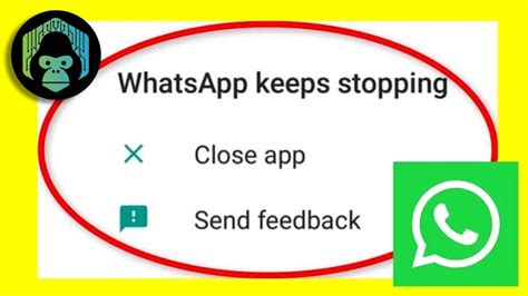 Solved How To Fix Whatsapp Keeps Stopping Error Youtube