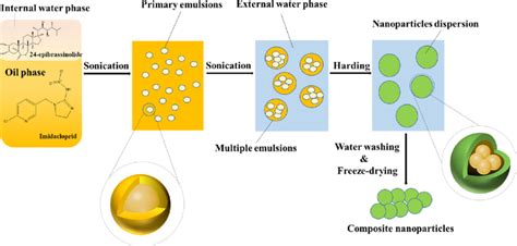 Schematic Diagram Of The Composite Nanoparticles Preparation Process