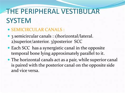 Anatomy And Physiology Of Vestibular System Pptx