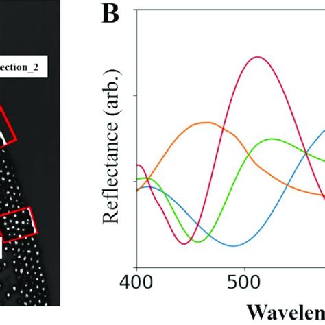 Fourier Transforms For The Sections From A Single Barbule Tem Image
