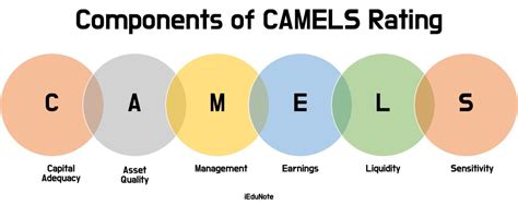 Camels Rating System Meaning Background Components