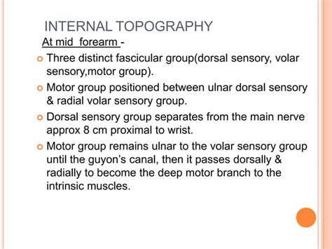 Ulnar Nerve Seminar PPT