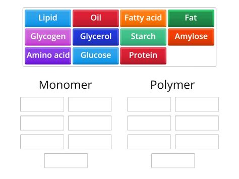 Monomers And Polymers Igcse Biology Group Sort