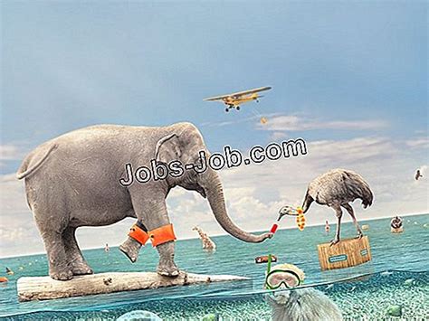 Data Encoder Taken En Verantwoordelijkheden Taakomschrijving 2025