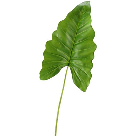 Dandw Silks Large Philo Leaf Set Of 3