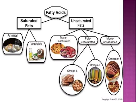 Structure And Classification Of Fatsand Oils Pptx