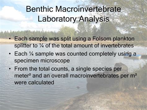 Ppt Sediment Depth Accumulation And Benthic Macroinvertebrates