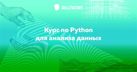 Курс Python для анализа данных Обучение Питону для аналитики Школа