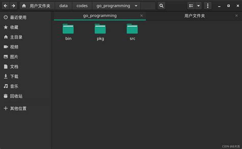 配置go环境（go的目录结构），使用vscode运行第一个go程序 vscode 运行 go main csdn博客