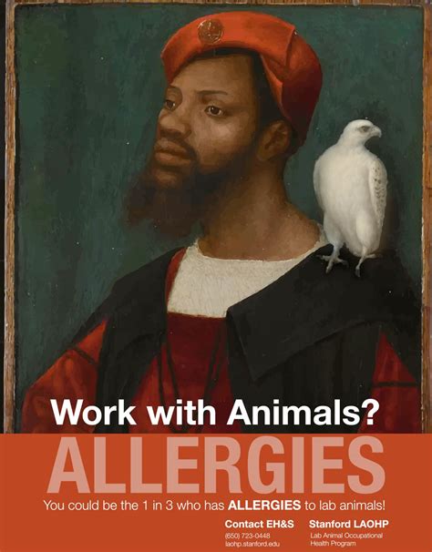 Animal Allergy Bird Poster Stanford Environmental Health And Safety