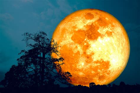 Is There A Super Moon Tonight 2024 - Estel Janella