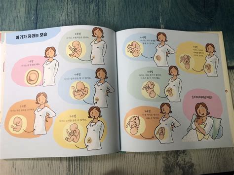 알라딘서재 아기가 생기는 과정을 제 대 로 알려주는 성교육 동화 서평 아기는 어떻게 생겨요
