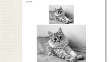 solved task e scale 200 program scale cpp scale the