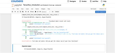 Please Help With Compute Total Loss Improving Deep Neural Networks
