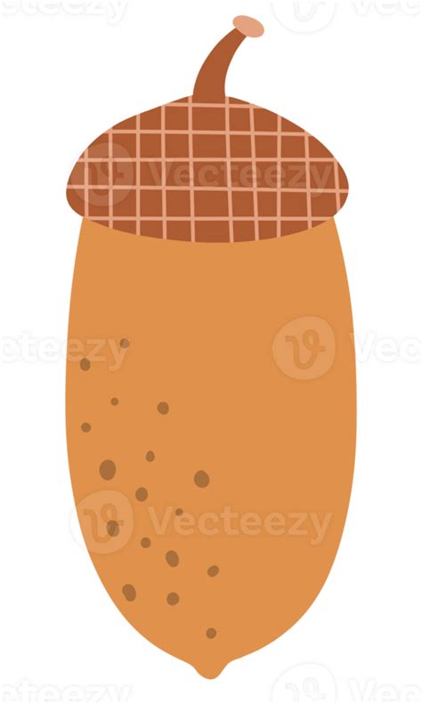 Hand Gezeichnet Süß Eichel Illustration 53110508 Png