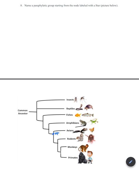 Solved 8 Name A Paraphyletic Group Starting From The Node