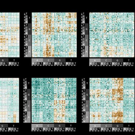 A Relationship Between 7 Mer Relative Mutation Rates Estimated Using